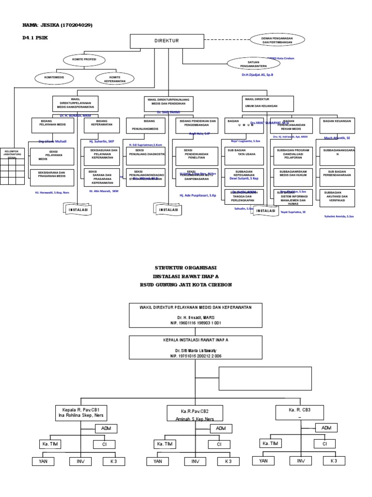 Struktur Organisasi Rawat Inap | PDF