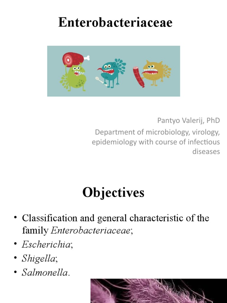 Enterobacteriaceae | PDF | Escherichia Coli | Infection