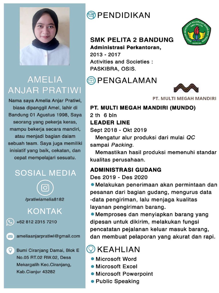 CV Amelia | PDF