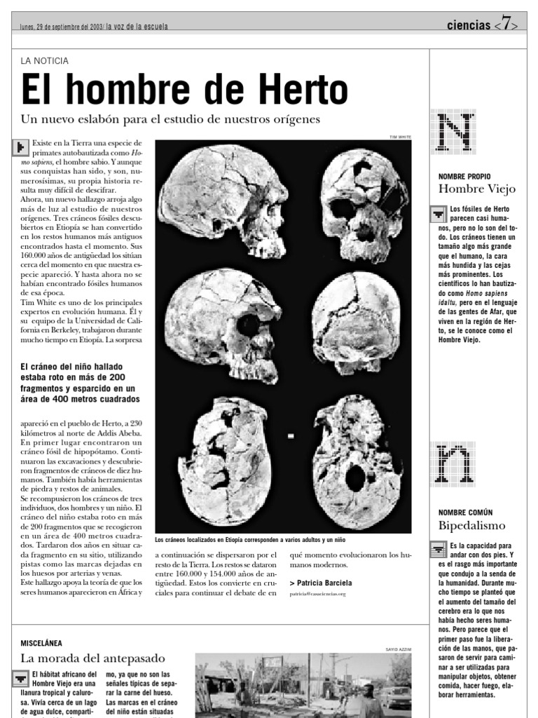 El Hombre Viejo: Orígenes Humanos en Herto | PDF | Hipopótamo ...