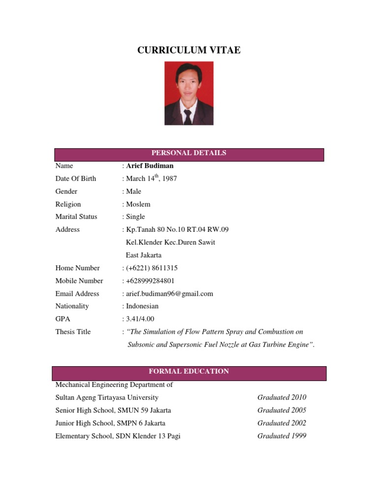 Curriculum Vitae | PDF | Mechanical Engineering | Science And Technology