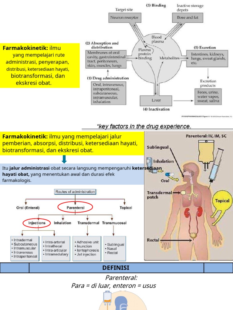 BIOFAR 4 (Perjalanan Obat Dalam Tubuh-Parenteral) - Converted ...