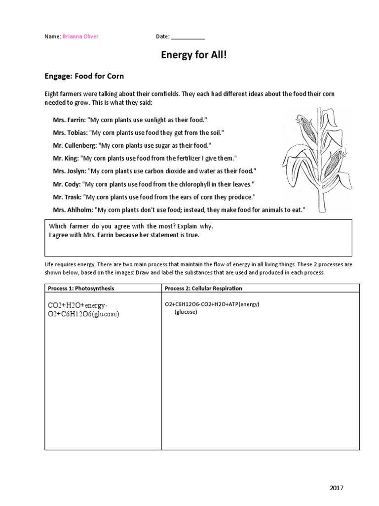 Energy For All!: Engage: Food For Corn | PDF | Cellular Respiration ...
