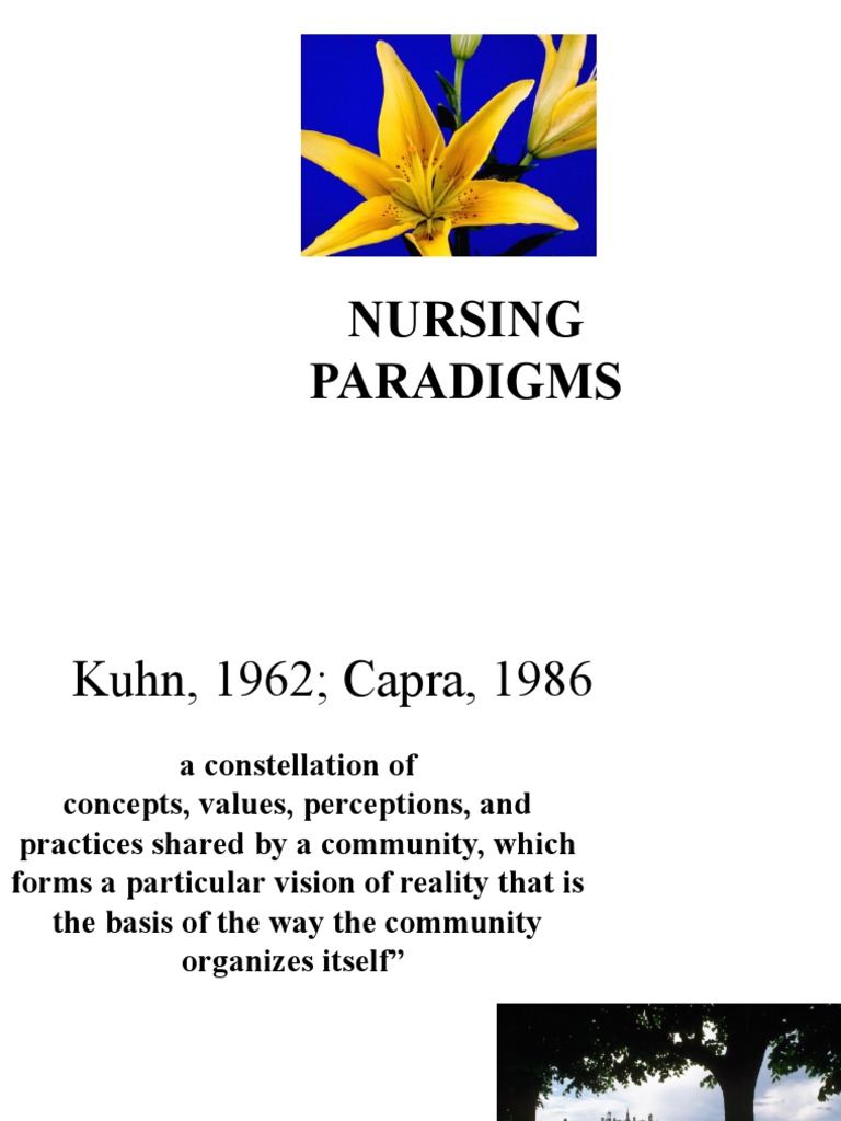Nursing Paradigms: A Conceptual Framework | PDF | Recovery Approach ...