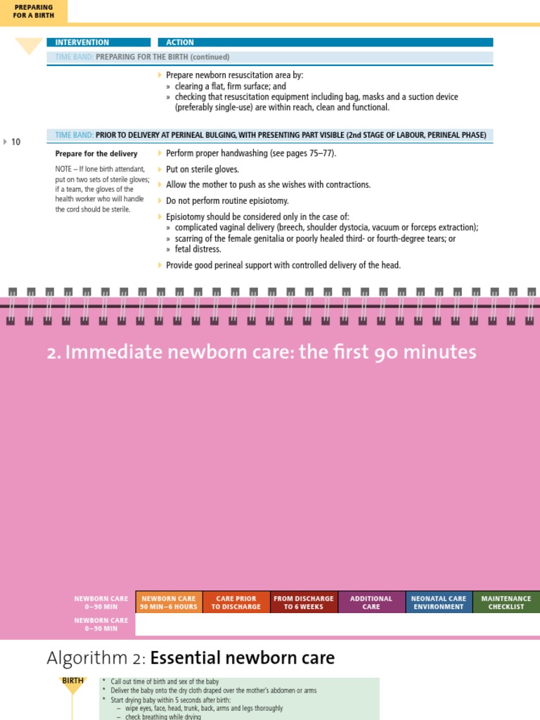 Immediate Newborn Care: The First 90 Minutes: Preparing For The Birth ...