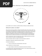Micro, Matro y Macroambiente PDF | PDF | El embarazo | Embarazo Mamífero