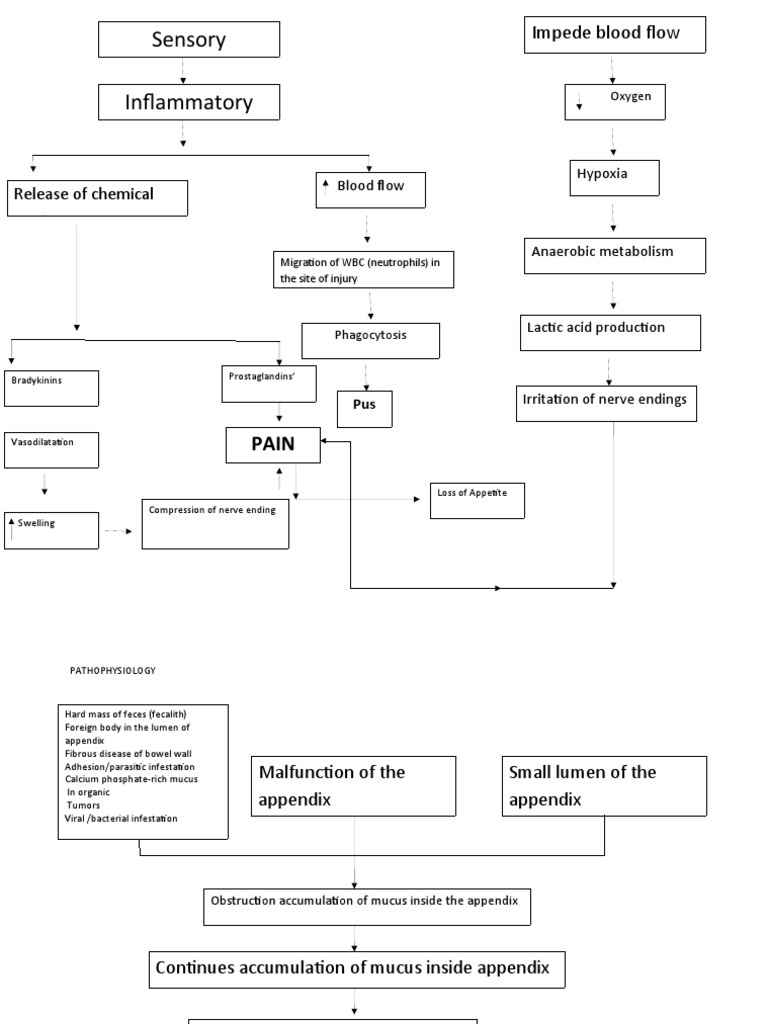 PATHOPHYSIOLOGY | PDF
