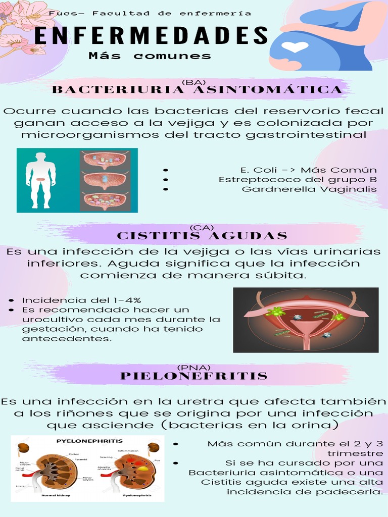 Infografía Enfermedades Más Comunes. | PDF