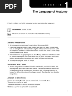 Autopsy of A Dill Pickle Person Lab | PDF | Abdomen | Anatomical Terms ...