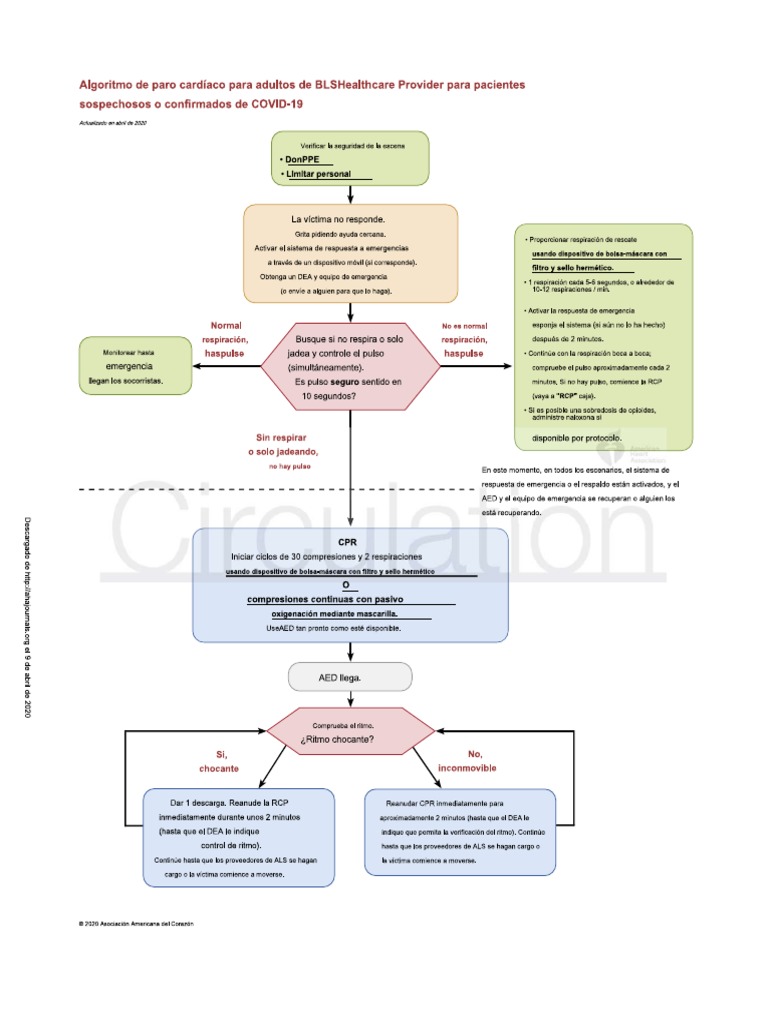 Algoritmo Espanol BLS 2020 | PDF