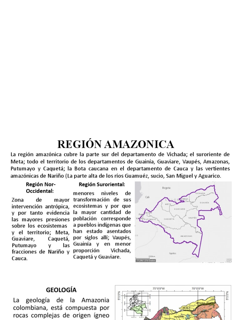 Amazonia Expo | PDF | Selva amazónica | Selva