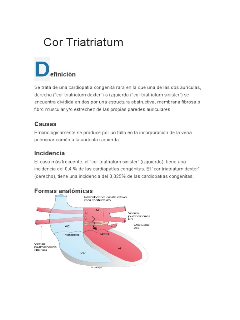 Cor Triatriatum | PDF | Defecto cardiaco congenito | Hemodinámica