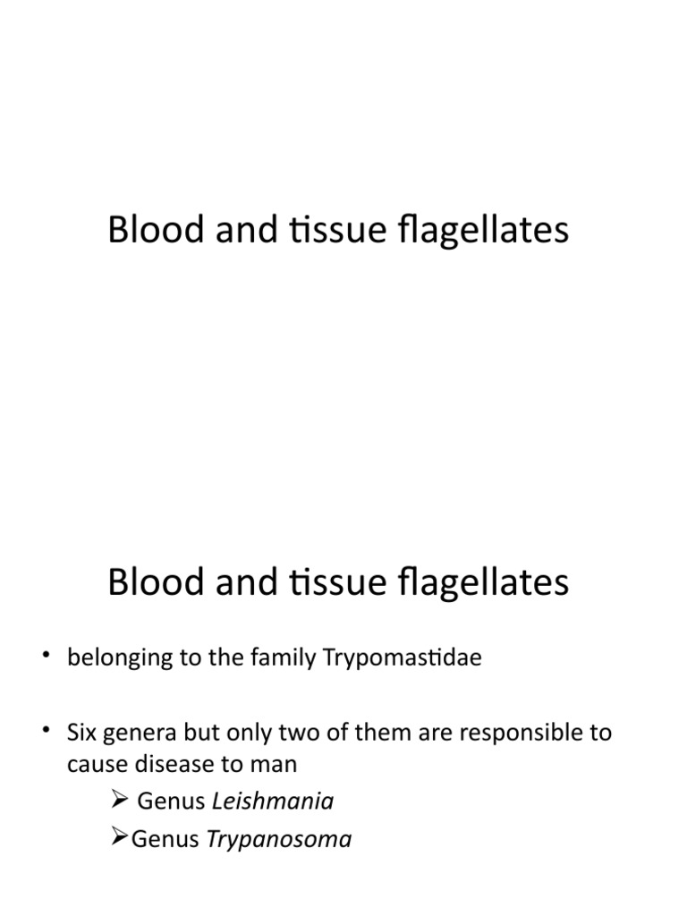 Blood and Tissue Flagellates BSC | PDF | Medicine | Diseases And Disorders