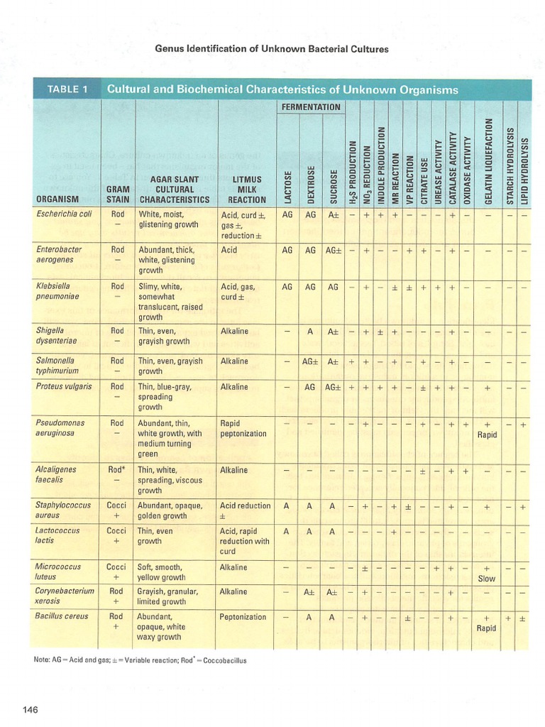 Biochemical Chart | PDF