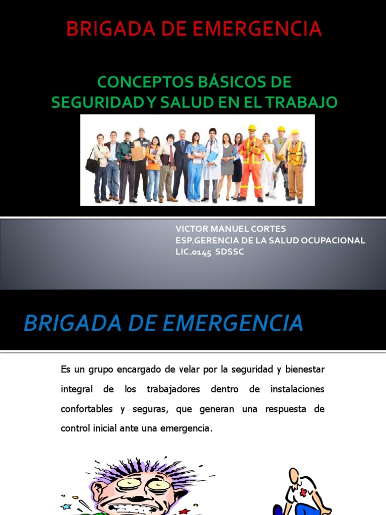 Brigadas | PDF | Seguridad | Seguridad y salud ocupacional