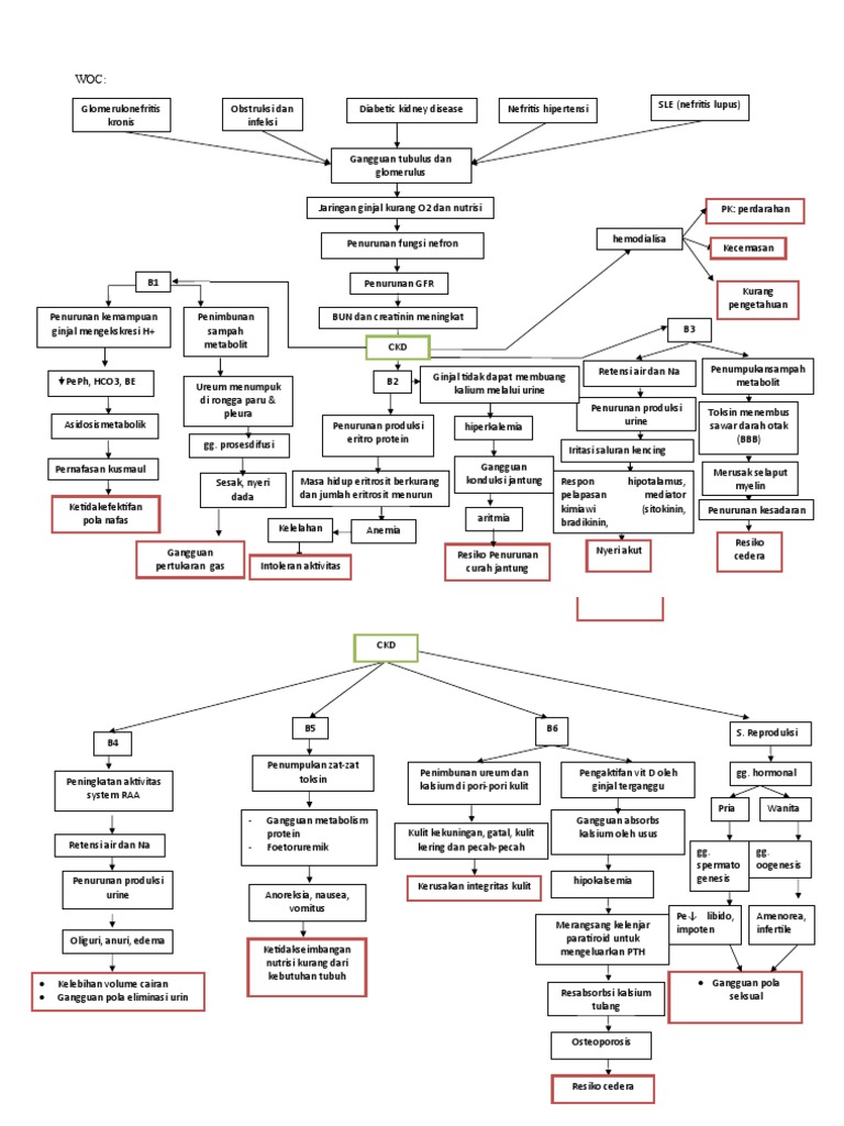 Woc CKD | PDF