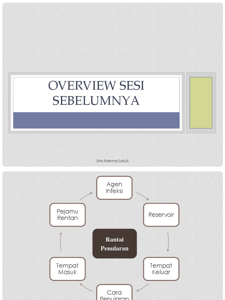 Pengunaan Antimikroba Yang Bijak Dan Rasional | PDF
