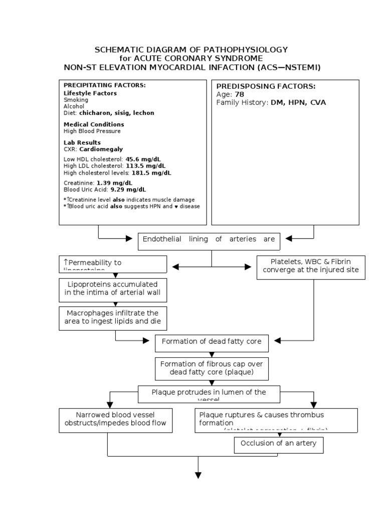ACS Schematic | PDF