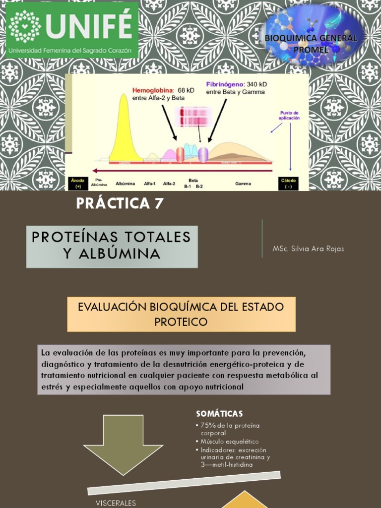 Cuantificaión De Proteínas Totales Y Albúmina Sérica – OPKGV