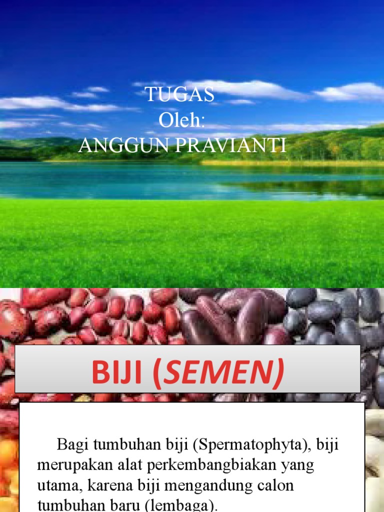 Biji (Semen) | PDF