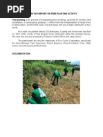 Accomplishment Report in Tree Planting | PDF
