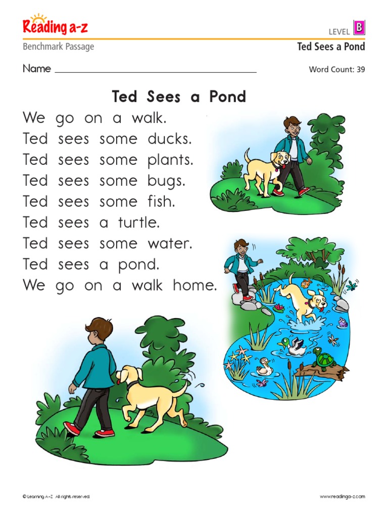 4-B-Ted Sees A Pond LVL B Passage | PDF