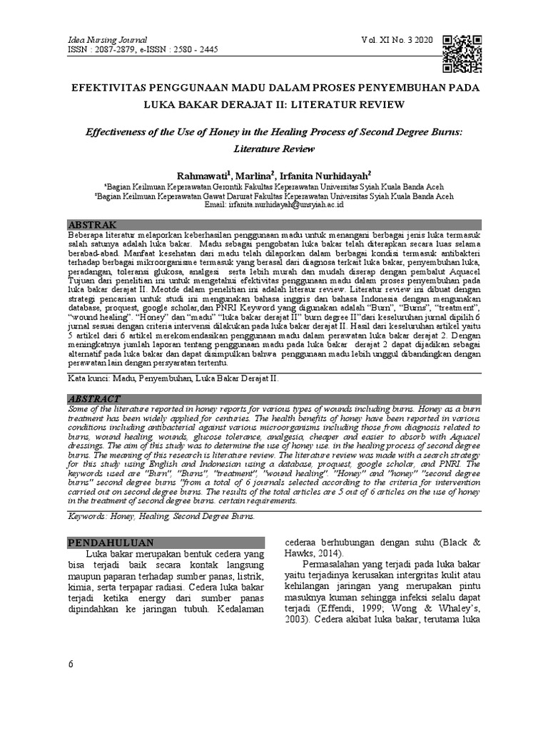 Dedy Rinaldi Jurnal Luka Bakar | PDF