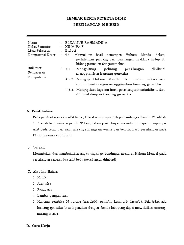 LKPD Ke 6 Elza | PDF