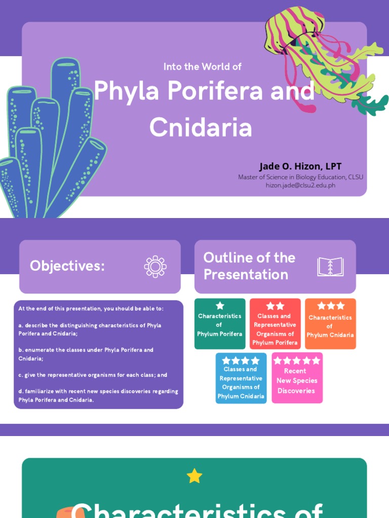 Report in Systematics (Phylum Porifera and Phylum Cnidaria) | PDF ...