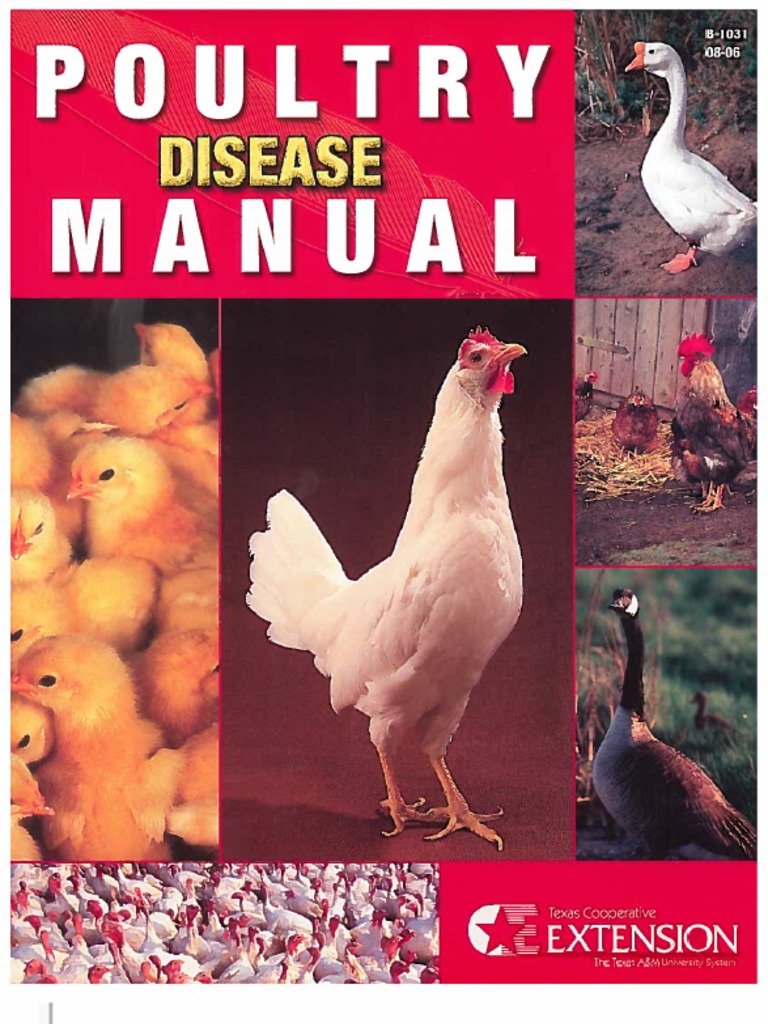 Poultry Disease Pictorial Guidebook Pdf – PPWBP