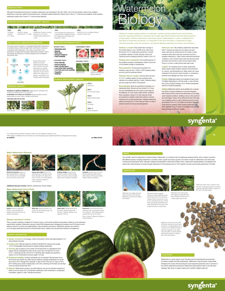 Watermelon Biology | PDF | Watermelon | Fruit