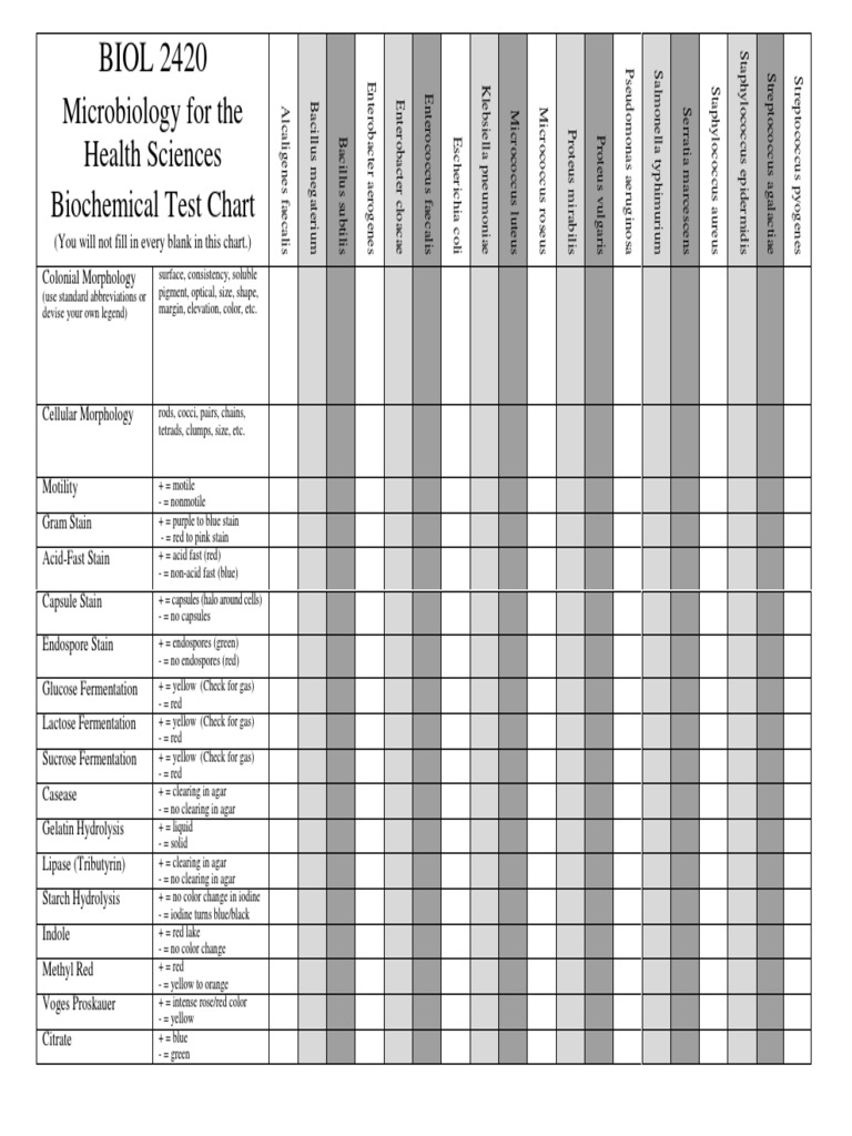 BIOL 2420: Microbiology For The Health Sciences Biochemical Test Chart ...