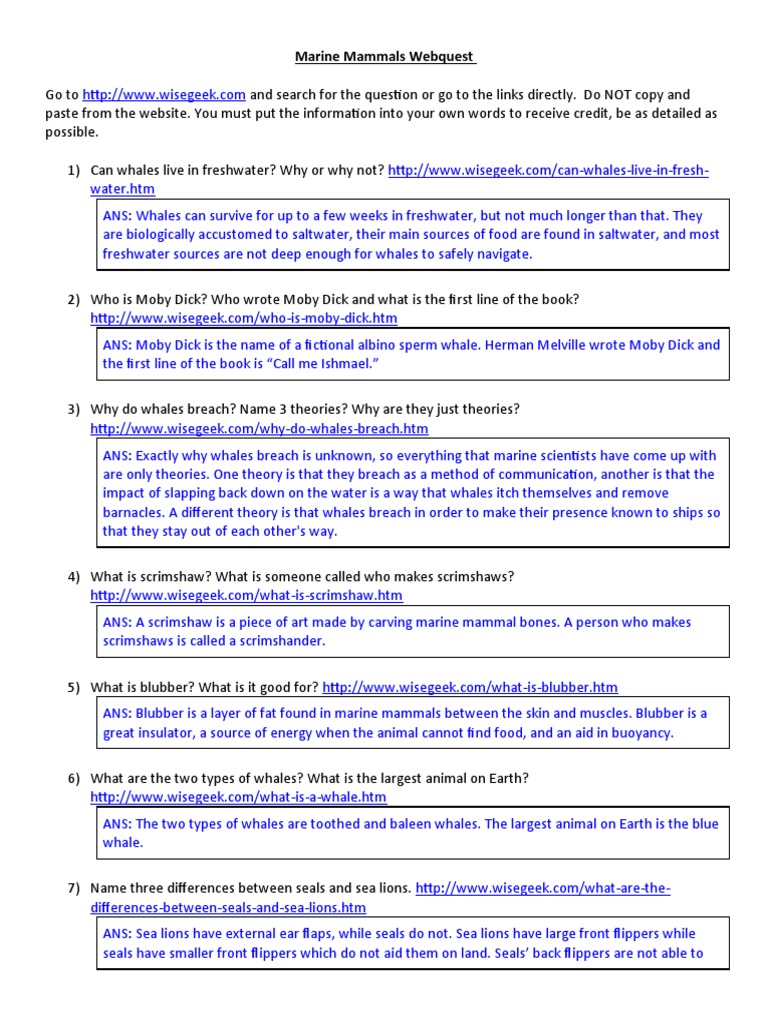 sean burke - marine mammals webquest | PDF