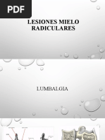 Compresion Radicular. | PDF | La columna vertebral | Sistema ...