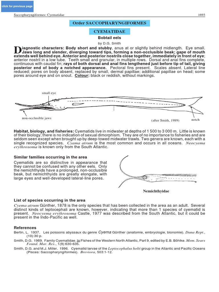 Order Saccopharyngiformes Cyematidae | PDF | Aquatic Animals | Fish