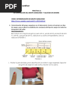 Tipificacion Sanguinea | PDF