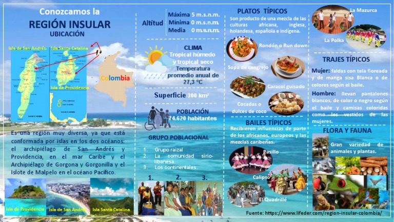 Región Insular | PDF | Naturaleza