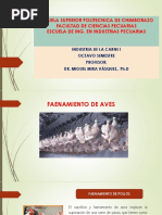 Proceso de Faena de Pollos Broiler | PDF | Aves | Marinado