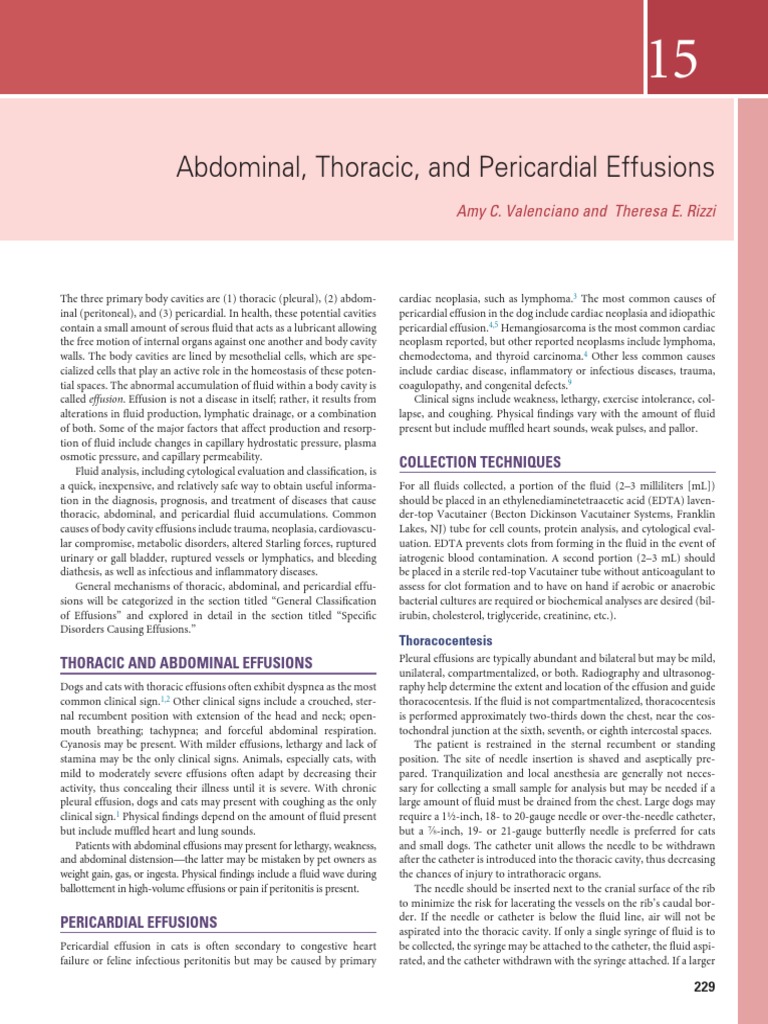 Cowell and Tyler's Diagnostic Cytology and Hematology of The Dog and ...