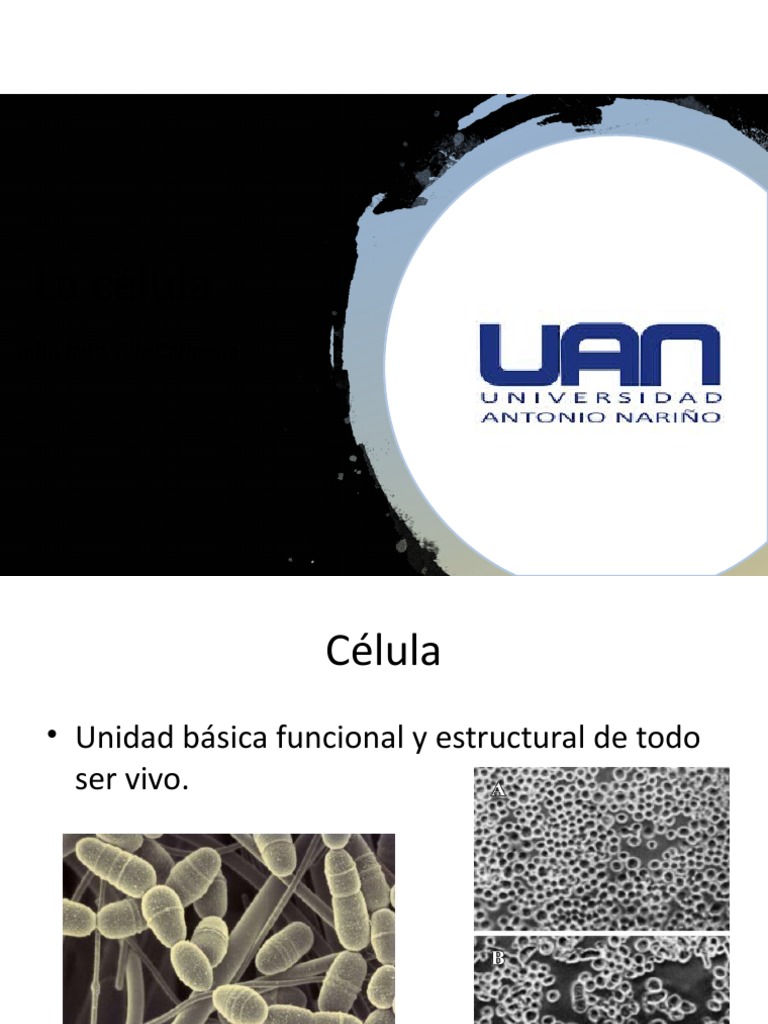 La Teoría Celular Biología Celular | PDF | Biología Celular) | Citoplasma