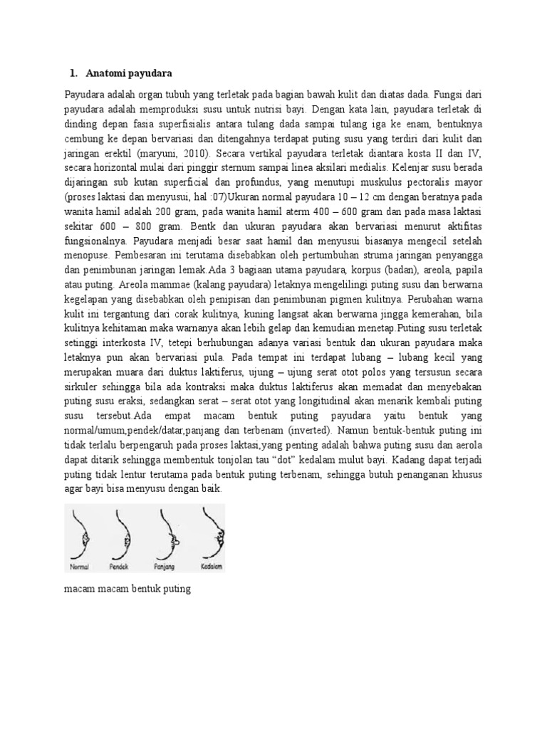 Anatomi dan Fisiologi Corpus Mammae | PDF