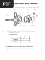 Transpiration Exam Practice Questions | PDF | Stoma | Leaf