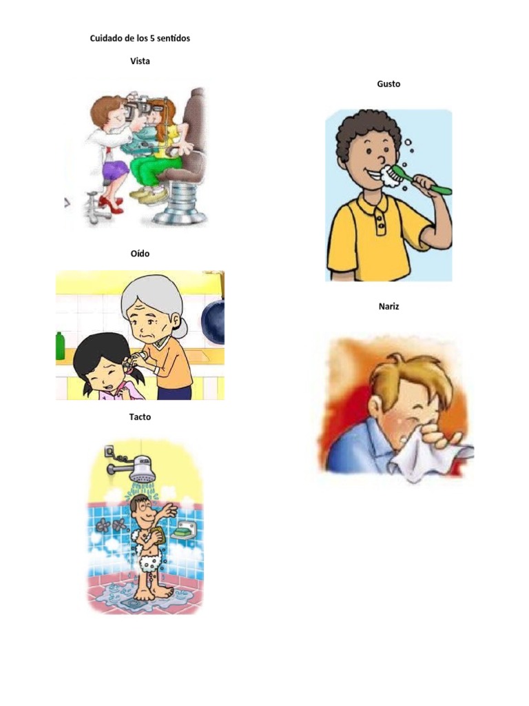Cuidado de Los 5 Sentidos | PDF