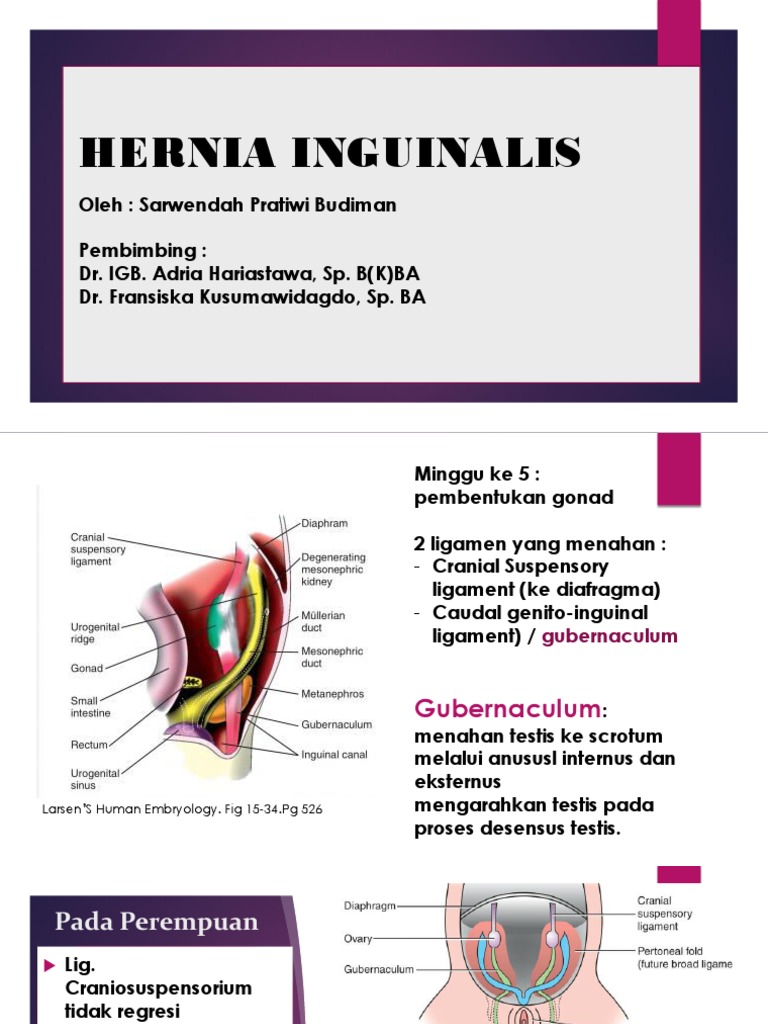 Hernia Inguinalis Unair | PDF