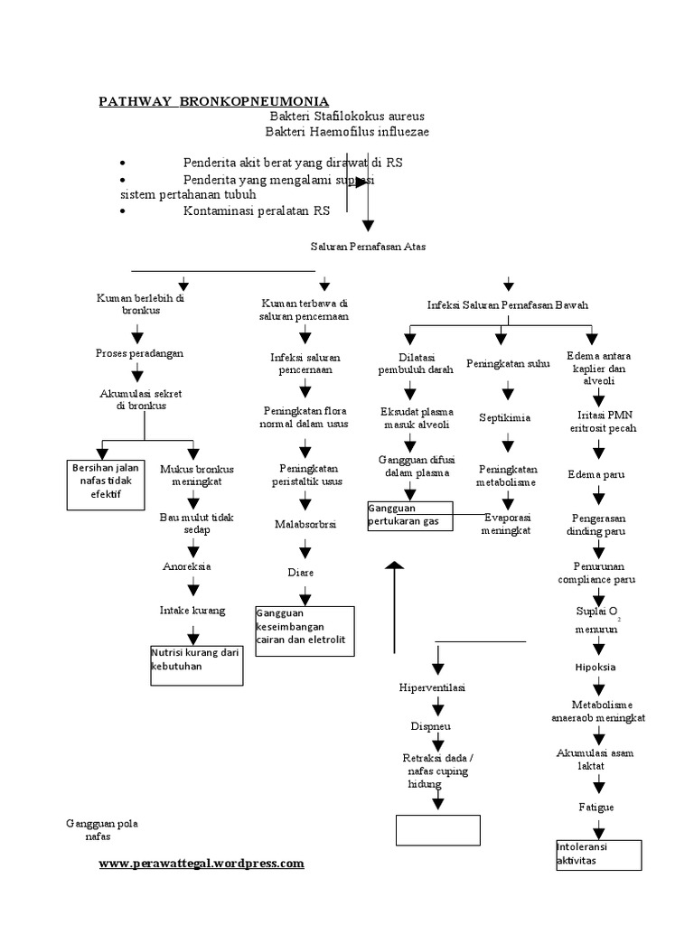 Pathway Bronkopneumonia pada Anak | PDF