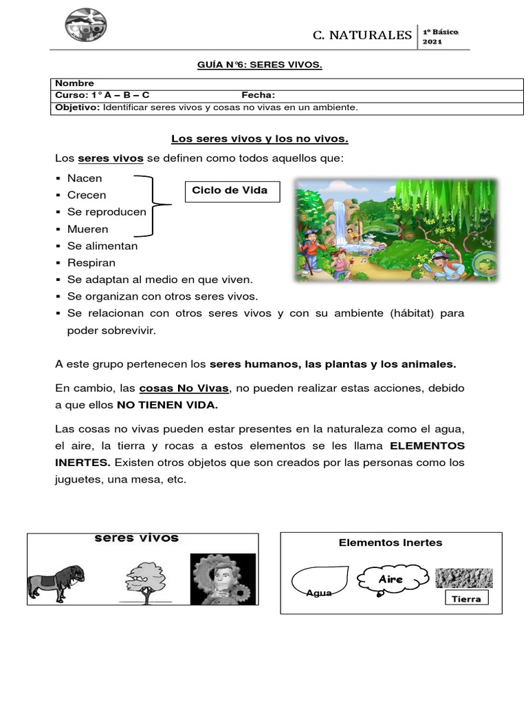 Identificación de Seres Vivos y No Vivos | PDF | Vida | Organismos