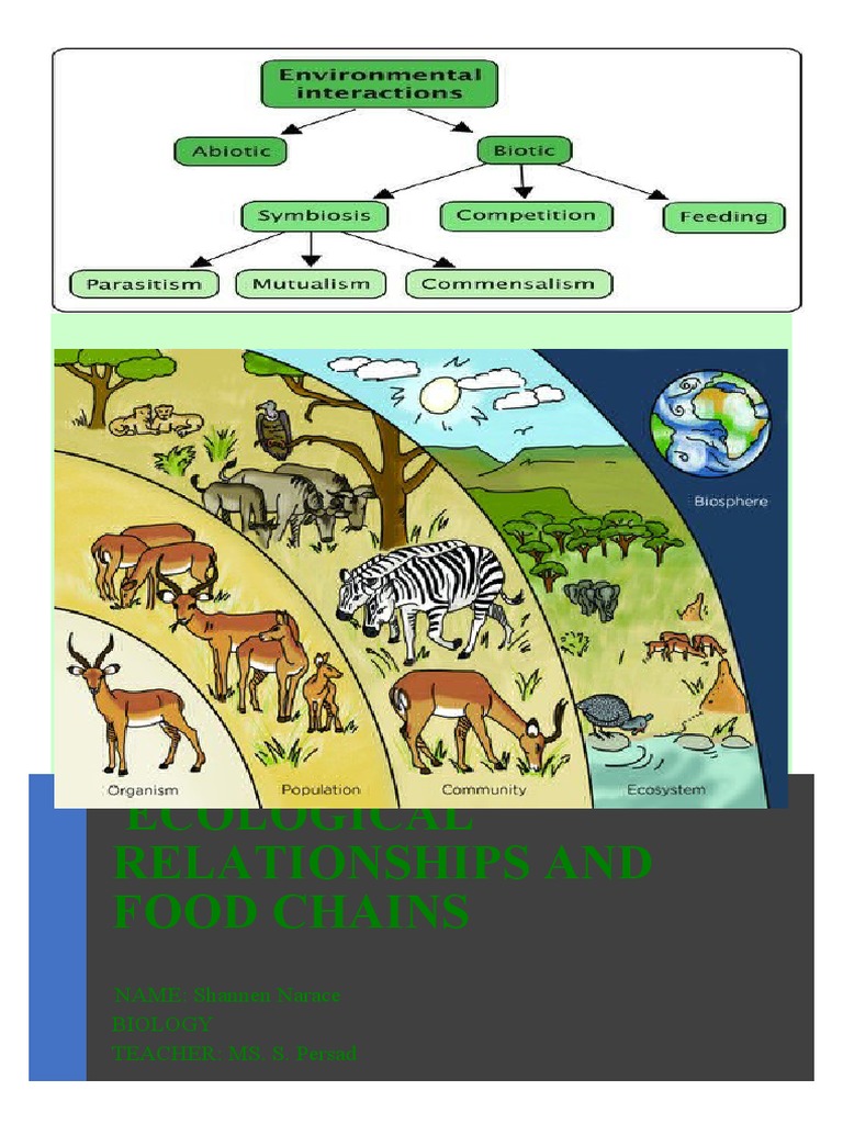 Ecological Relationships and Food Chains | PDF | Natural Environment ...