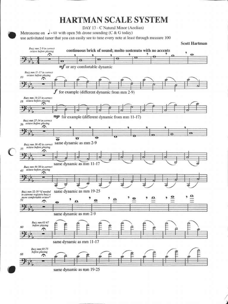 Scott P Hartman Scale System Sample | PDF
