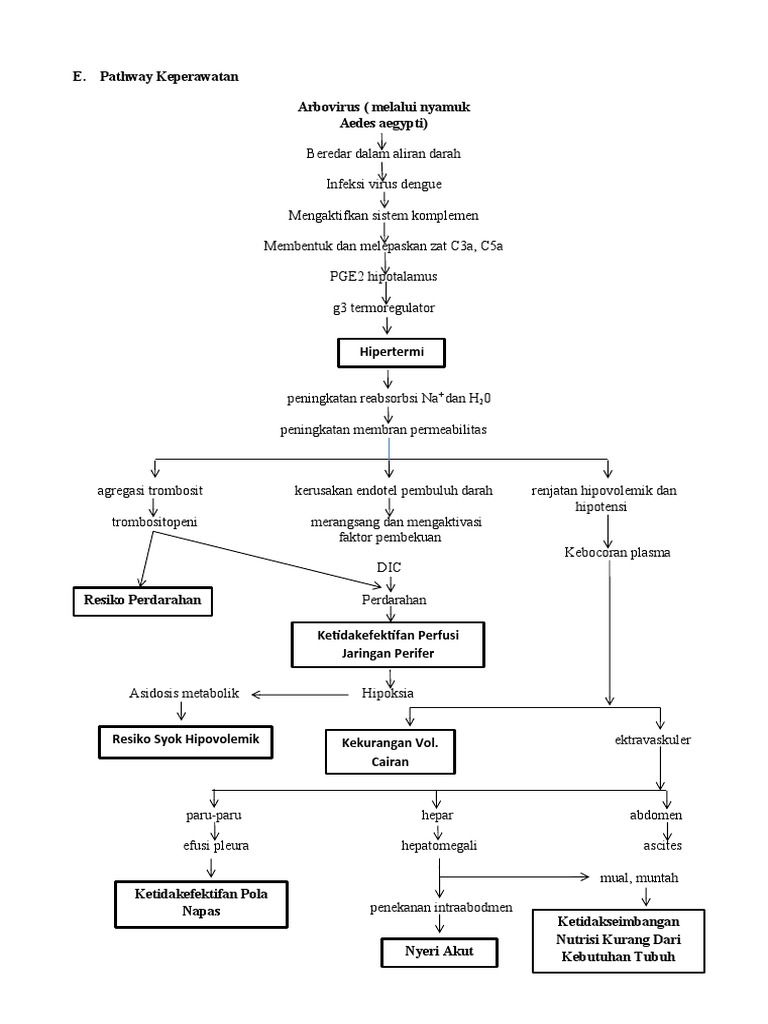 Pathway Demam Dengue | PDF