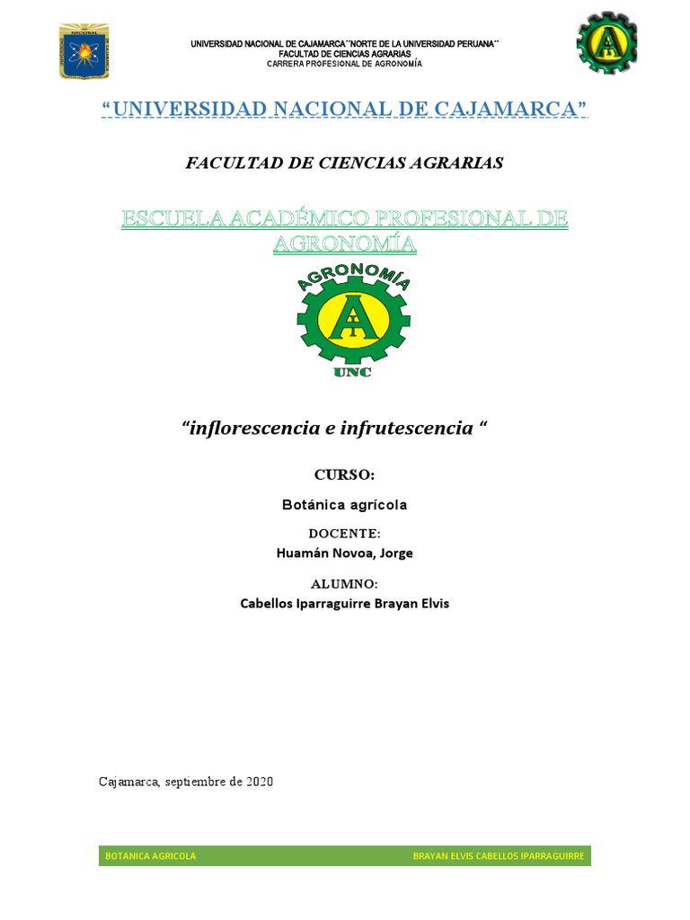 Inflorescencia e Infrutescencia en Botánica | PDF | Fruta | Plantas